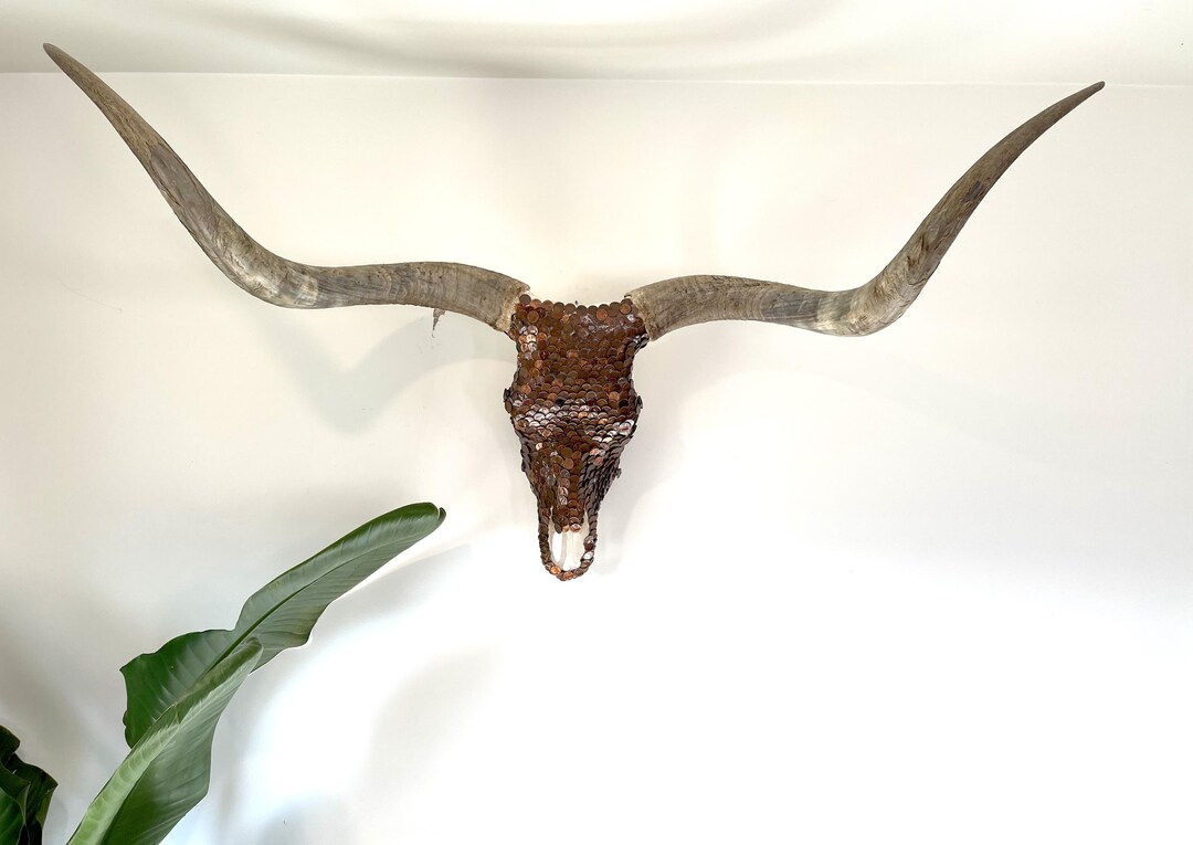 Penny-covered Longhorn Skull Art, 4ft Wide Horns - Western Decor - Etsy