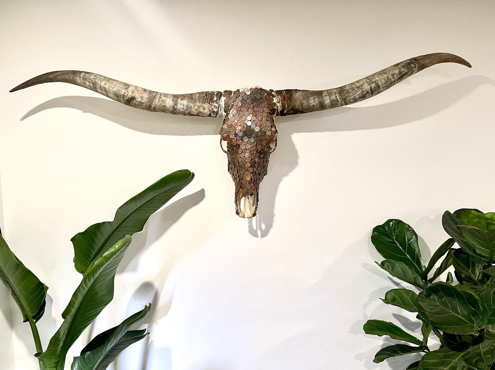 6-foot Wide Longhorn Steer Skull Art – Copper Penny Western Decor - Etsy