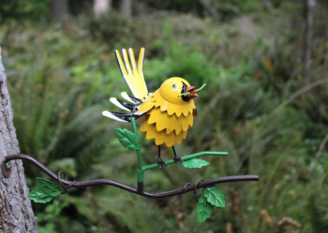 Gold Finch on Branch Garden Home Decor Wild Bird Art Gift - Etsy