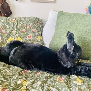 Wesker the Cat Squeaky Weighted Plush - Etsy