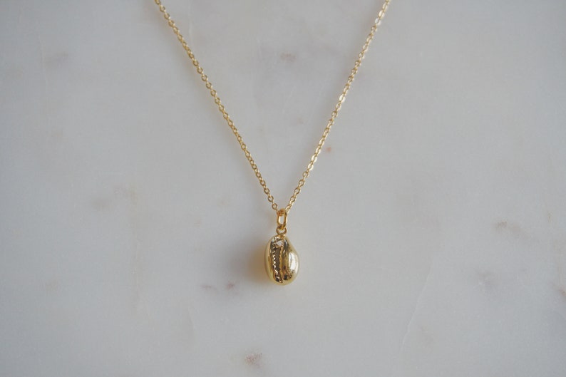 Gold Cowrie Shell Necklace / Sea Shell Charm / Layer Necklace | Etsy