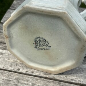 Antique 1800s Ironstone China Edward Walley Chelsea Grape Luster ...