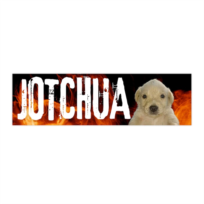 Jotchua Dog Meme Bumper Sticker, Gen Z Bumper Sticker, Unhinged Bumper ...