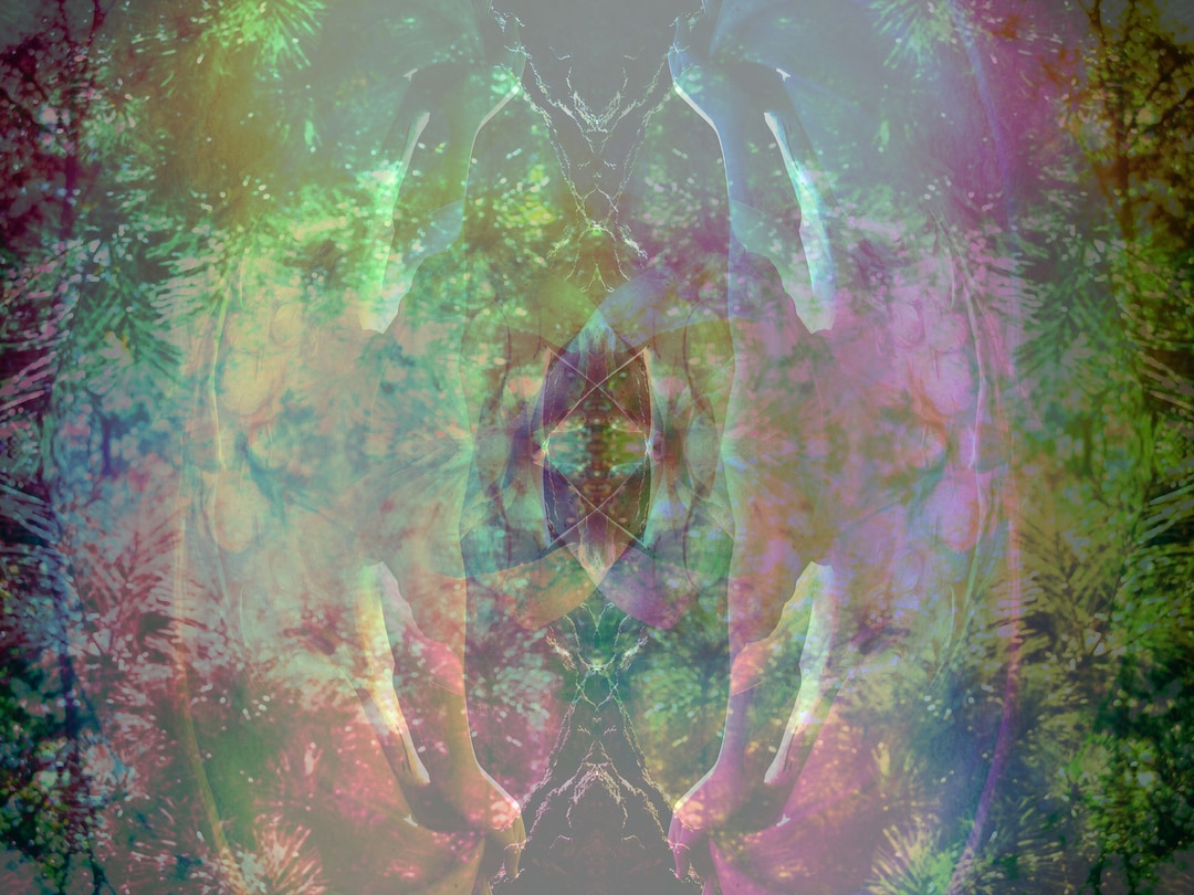 Multicolor Lotus Flower Fine Art Print - Etsy