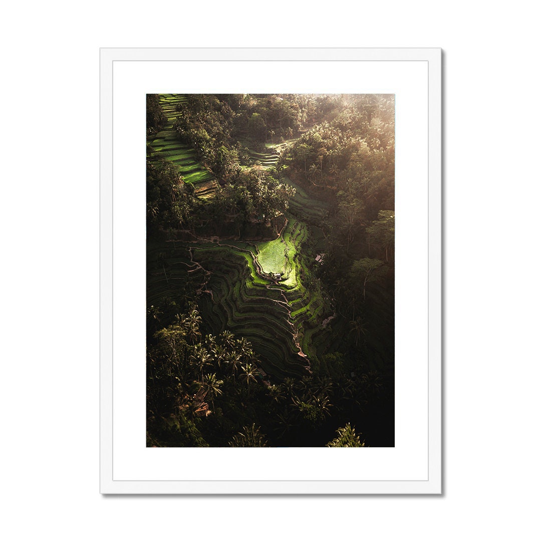 Rice Terrace Print, Ubud Bali, Bali Art Print, Tropical Print, Drone ...