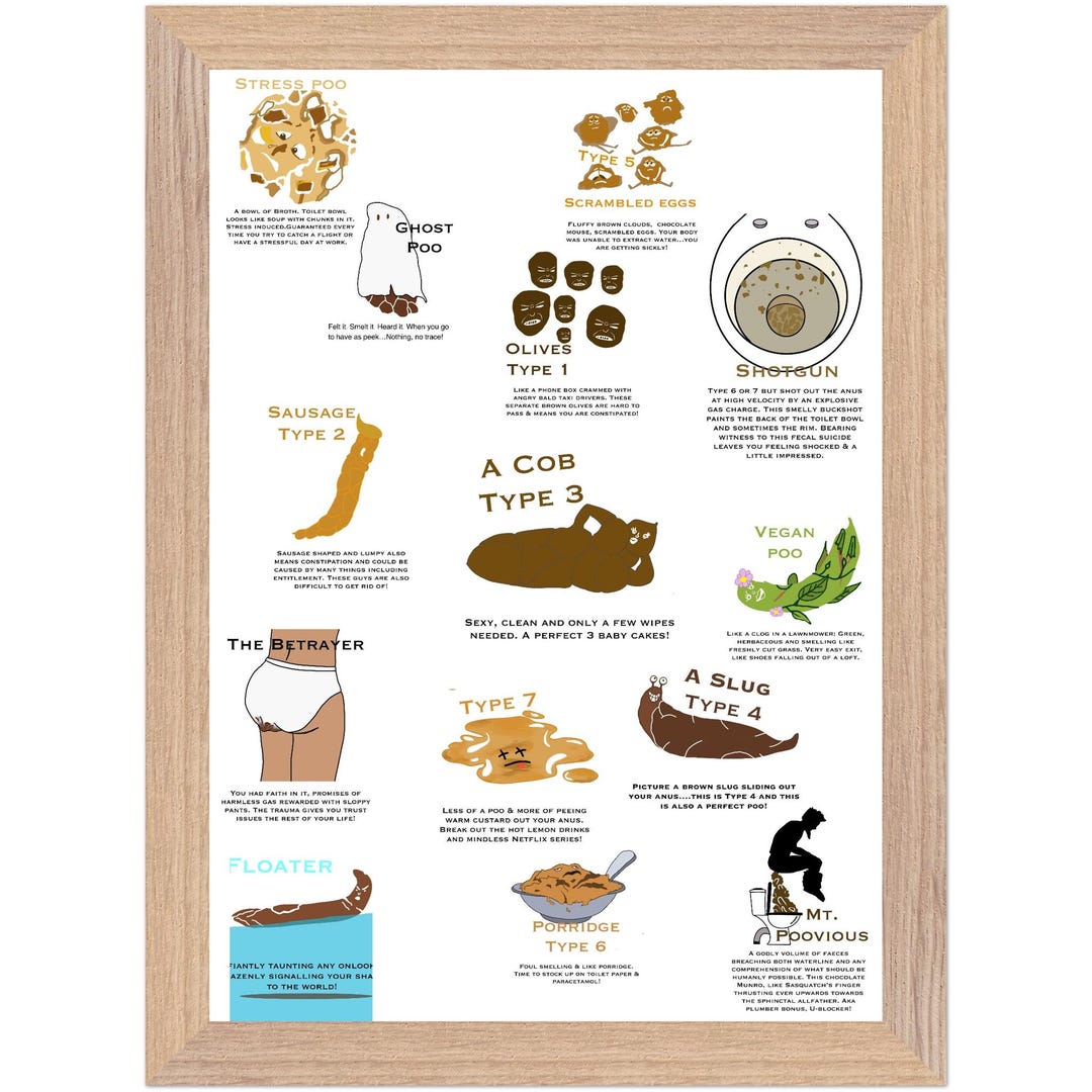 Bristol Poo Scale Wooden Framed Poster - Etsy