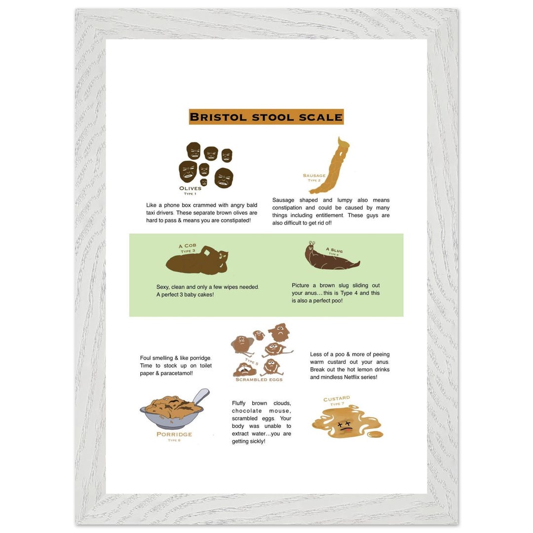 Bristol Poo Scale Bathroom Picture - Etsy