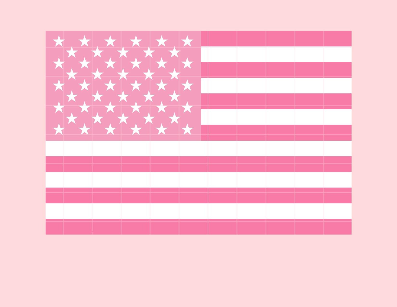 Pink American Flag PNG, Digital Download, SVG, Pink Flag SVG ...