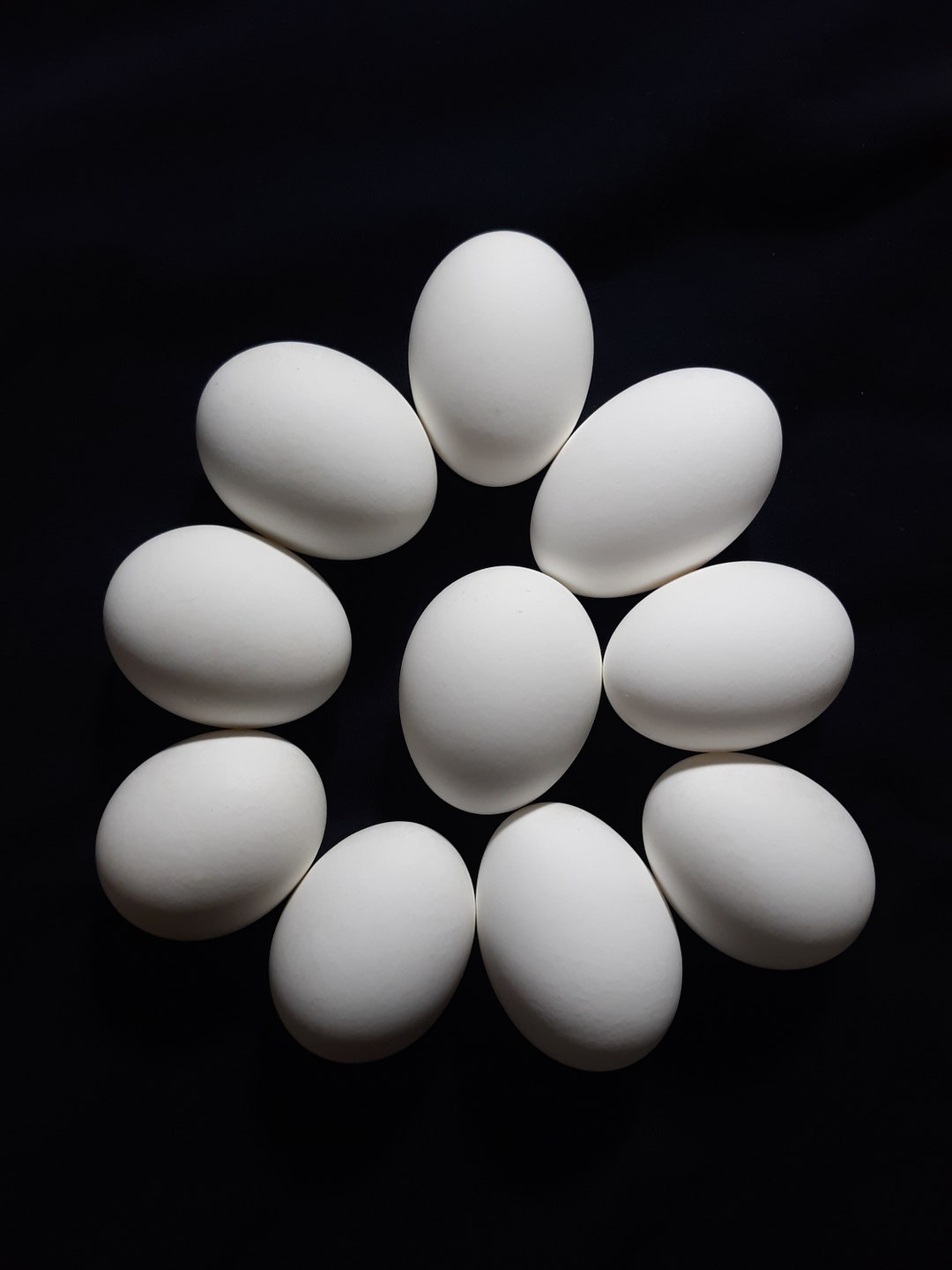 10 Blown Duck Eggs - Etsy