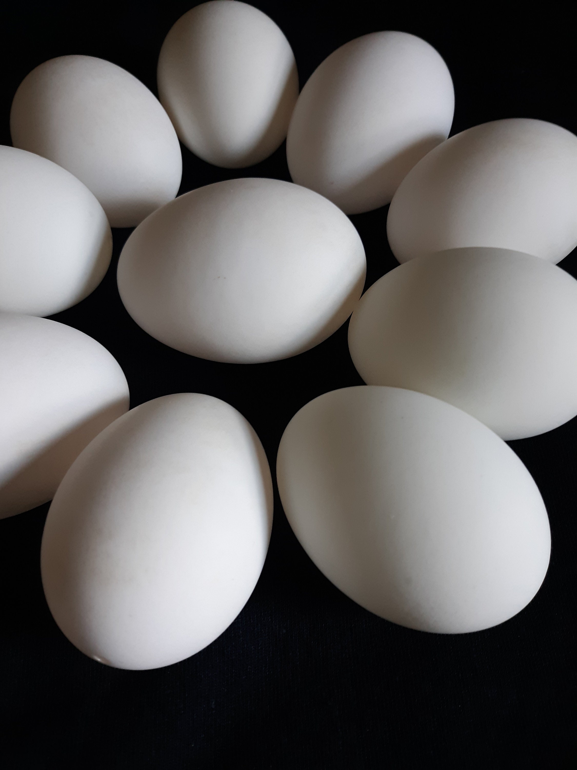 10 Blown Duck Eggs - Etsy UK