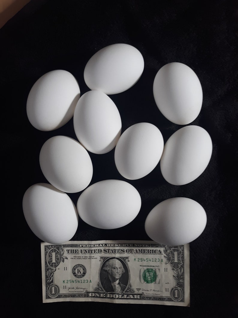 10 Blown Duck Eggs - Etsy