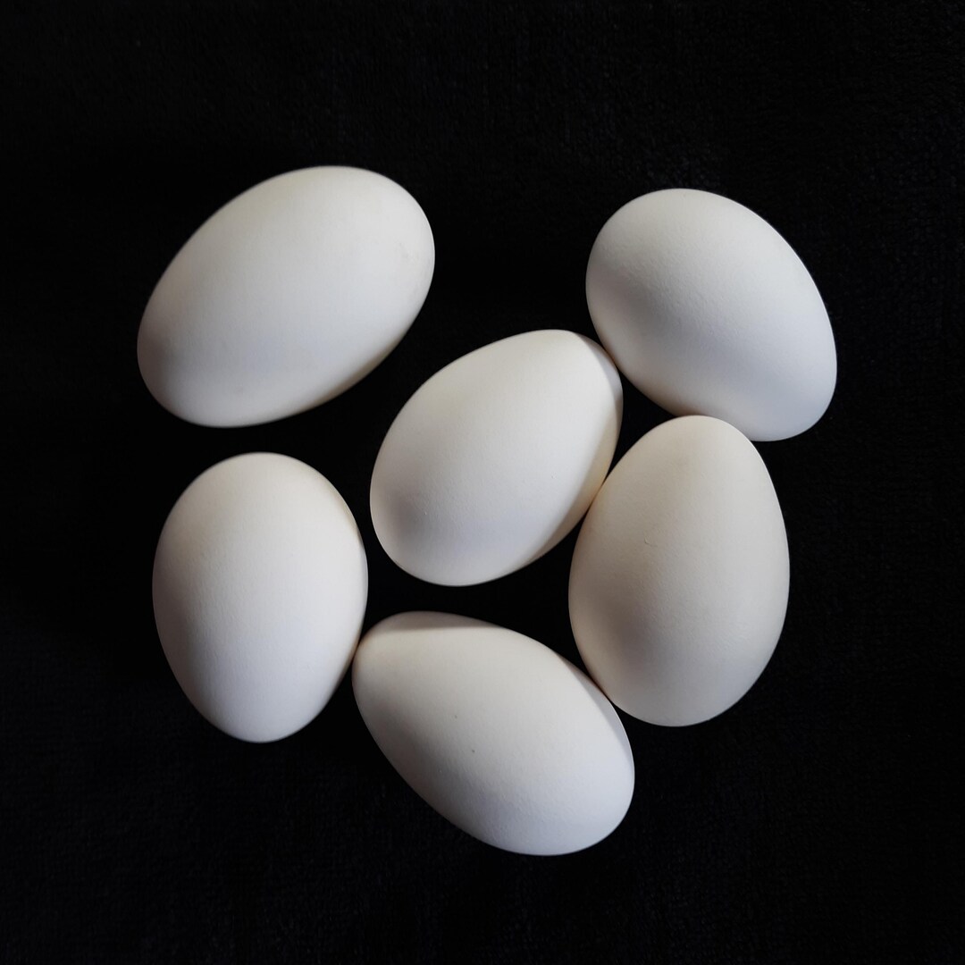6 Blown Goose Eggs - Etsy Canada