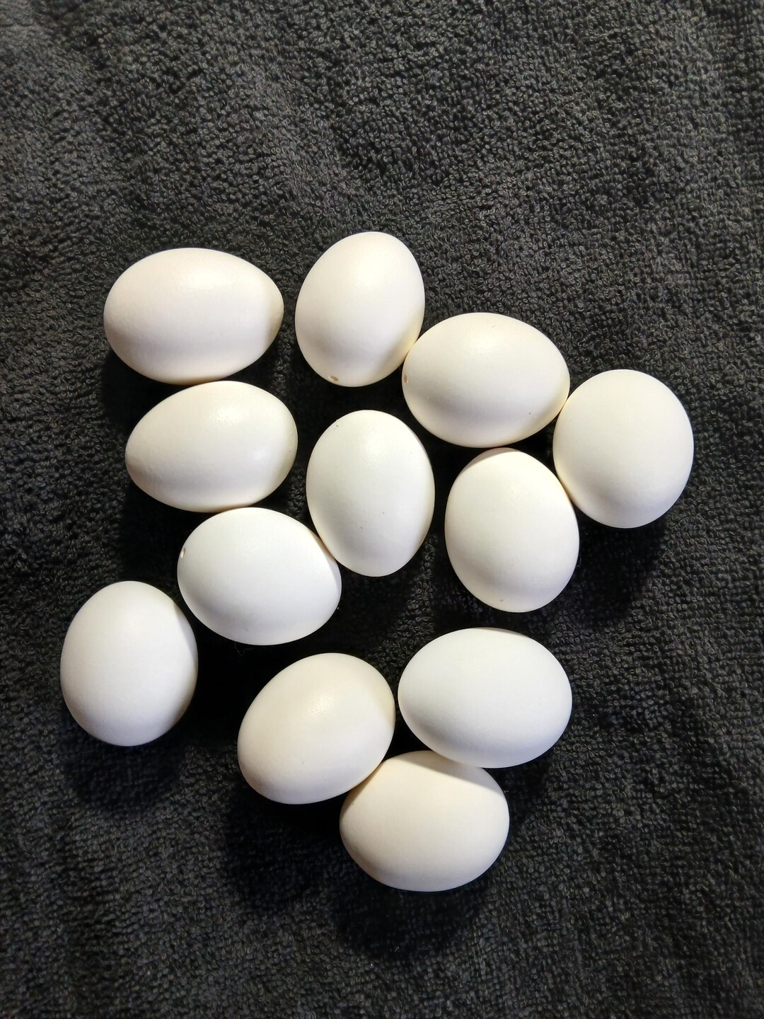 1 Dozen Medium Blown Chicken Egg Shells - Etsy