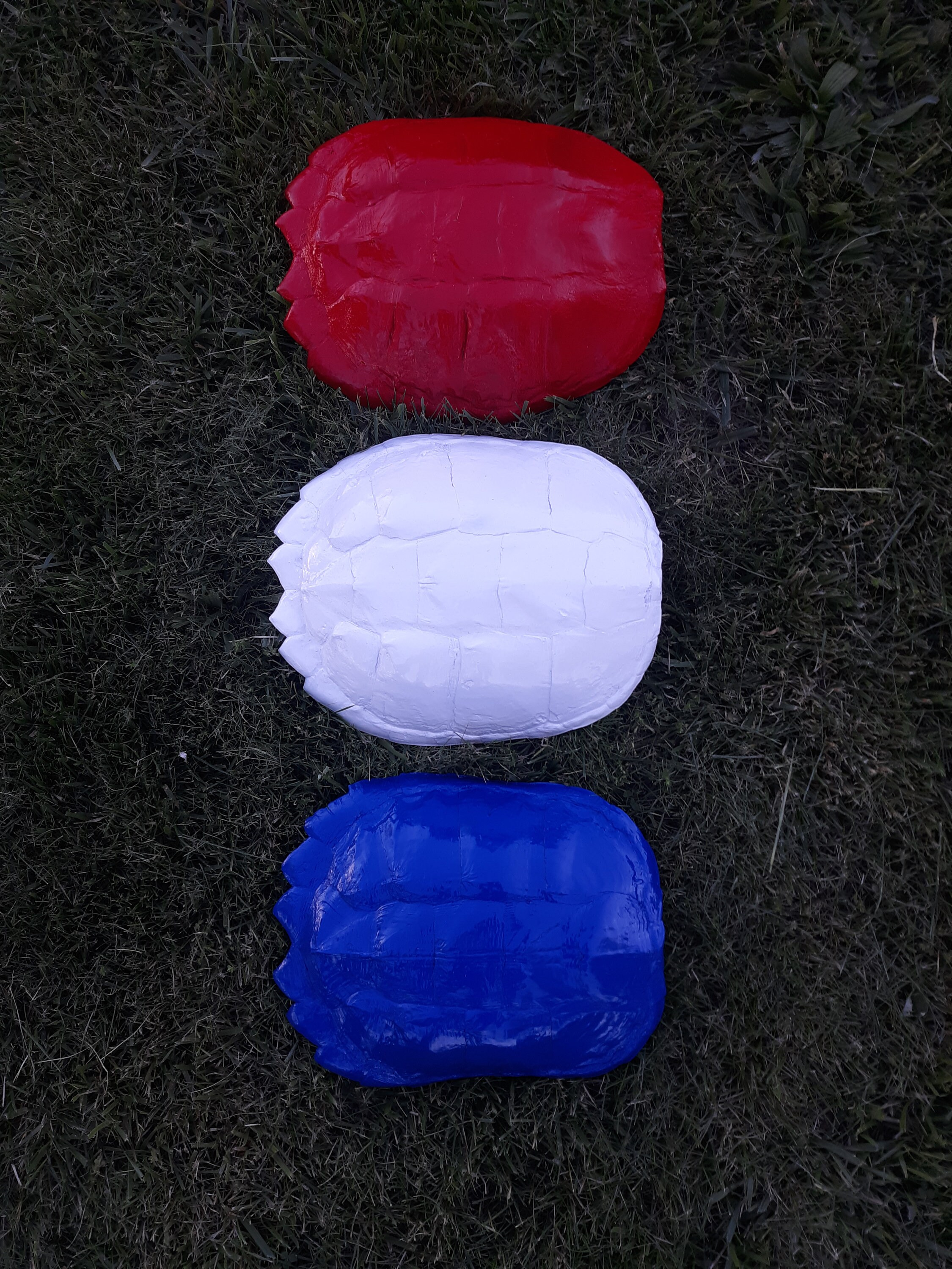 Snapping Turtle Shell for sale | Only 2 left at -70%