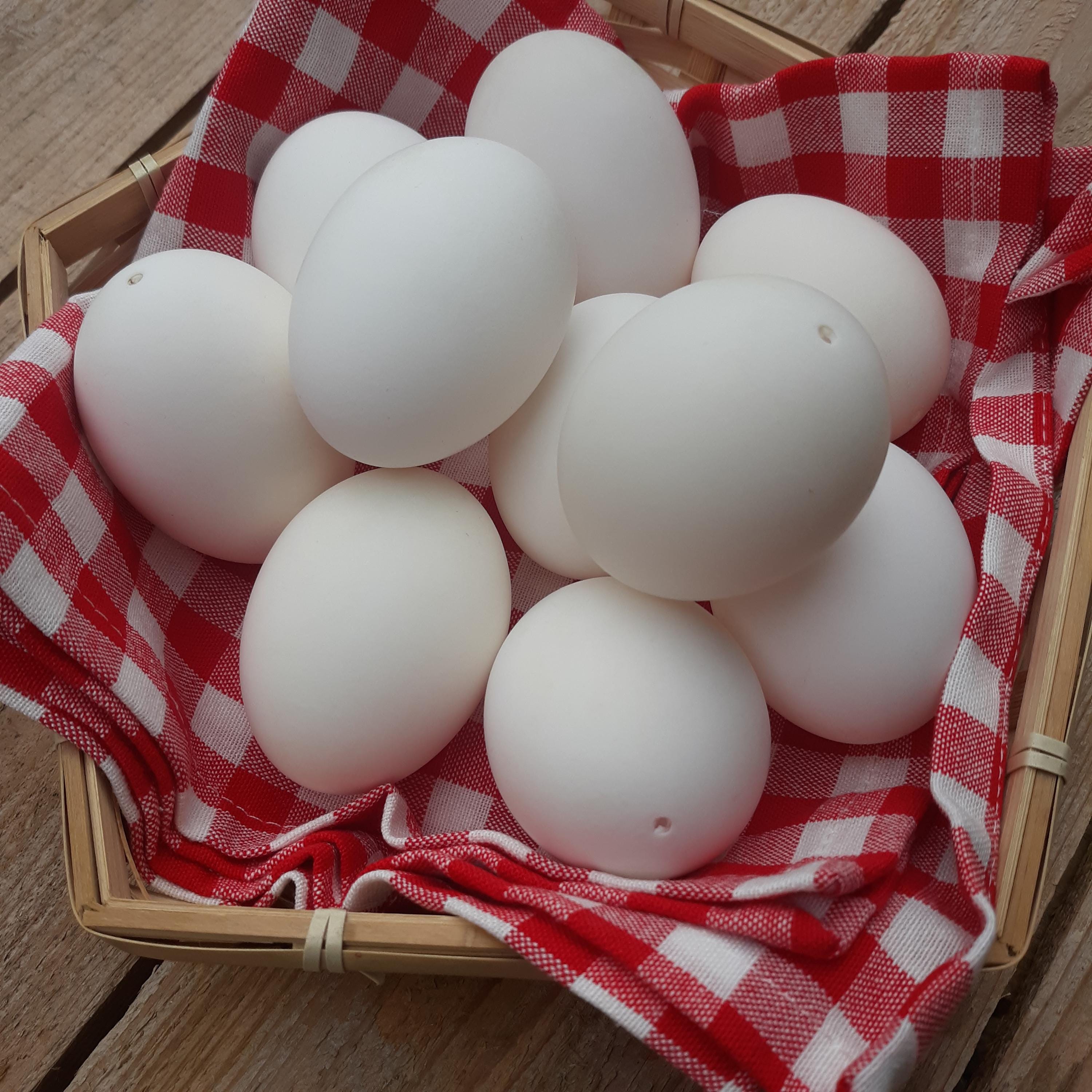 10 Blown Duck Egg Shells - Etsy