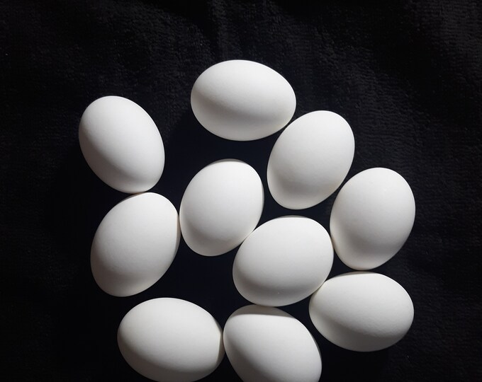 10 Blown Duck Eggs - Etsy