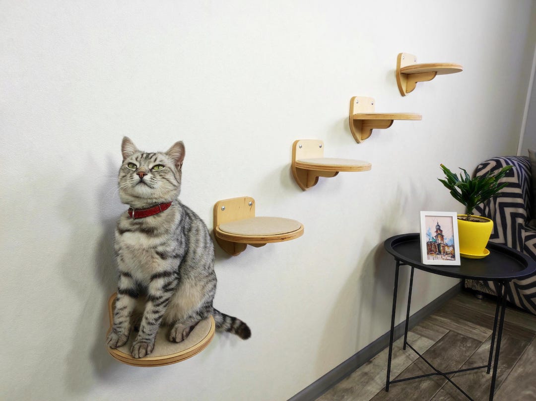 Wall Mounted Cat Steps: Round Wood Cat Shelf - Etsy