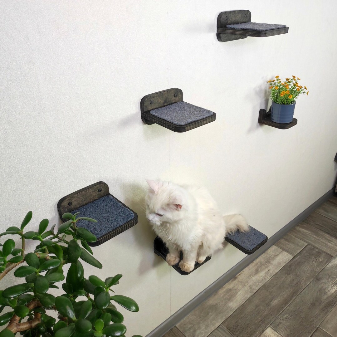 Cat Steps, Cat Ladder, Cat Wall Shelf, Cat Ladder & Steps for Active ...
