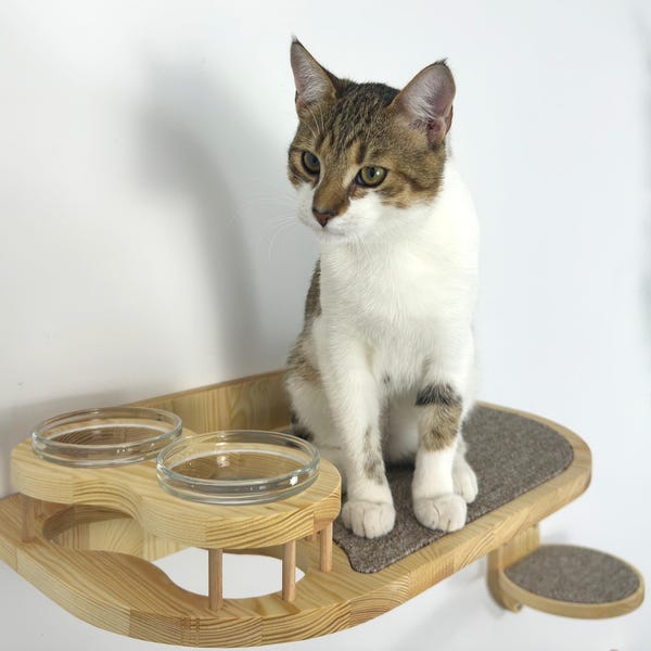 Cat Feeding Shelf - Etsy