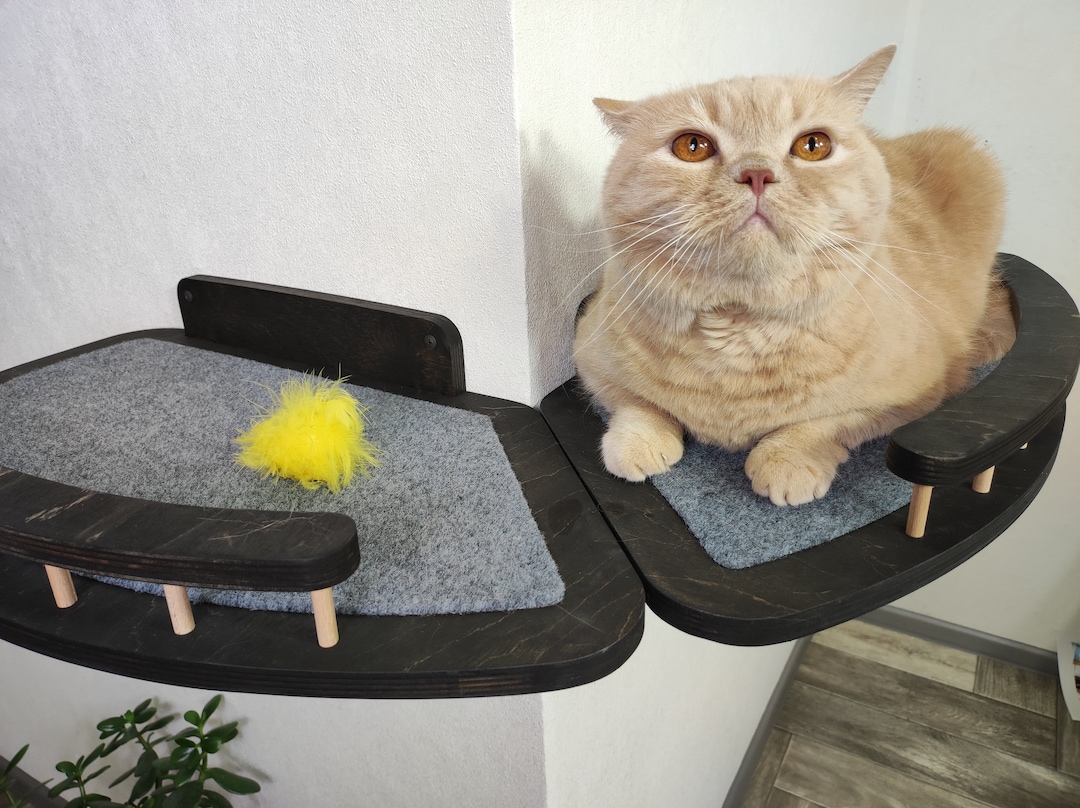 Corner Cat Shelf Set: Solid Wood Floating Wall Perch - Etsy
