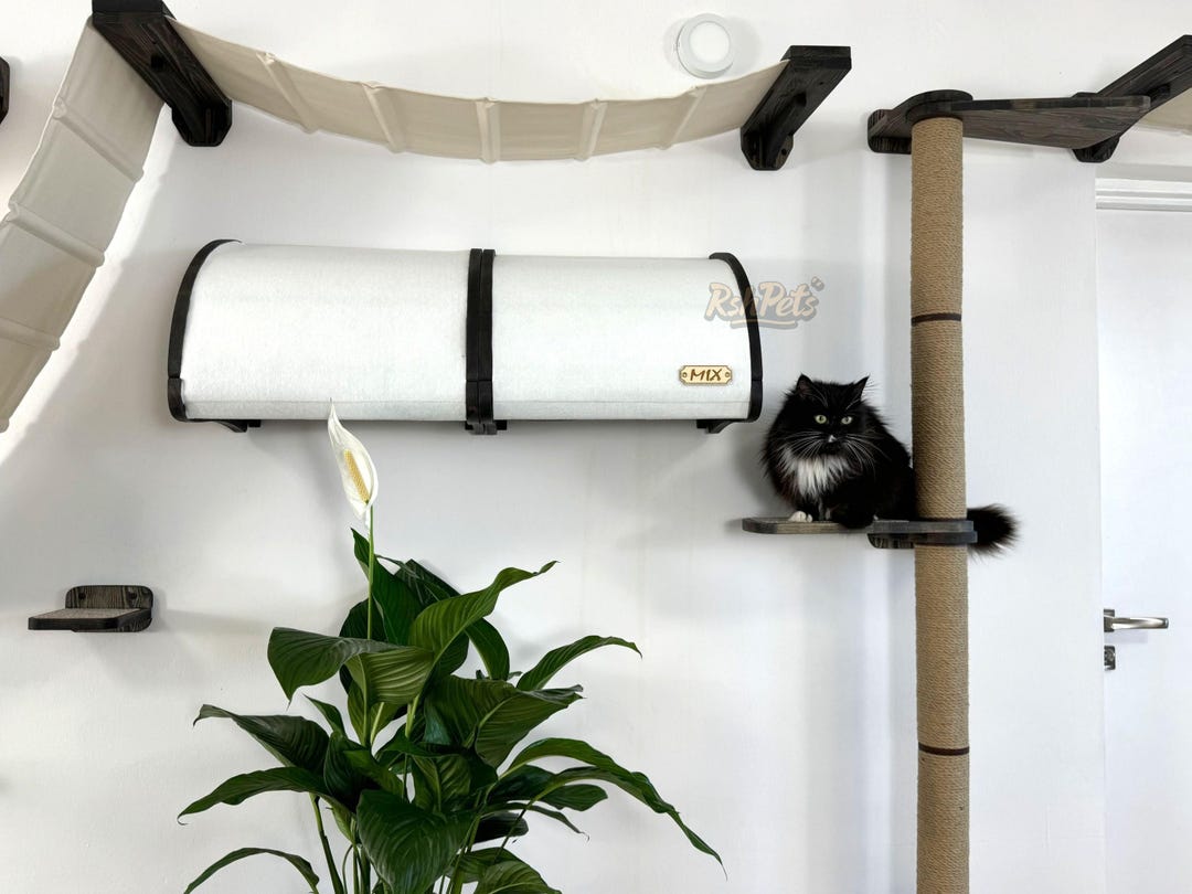 Cat Furniture Wall, Cat Climbing System, Large Set Cat Shelves, Cat ...