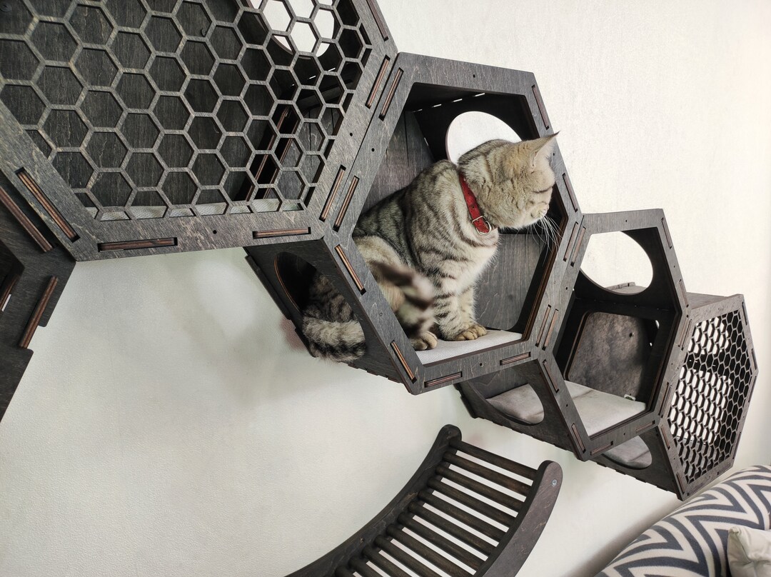 Cat Wall Shelves, Cat Hexagon, Cat Hex House, Cat Tree, Cat Ladder ...