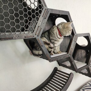Cat Wall Shelves, Cat Hexagon, Cat Hex House, Cat Tree, Cat Ladder ...
