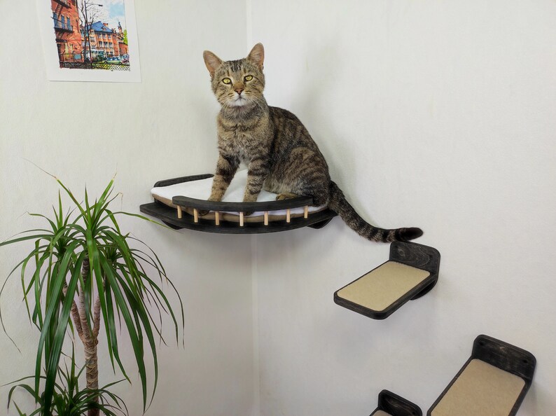 Cat Corner Shelf Cat Wall Furniture Shelves Bed Cat Tower - Etsy