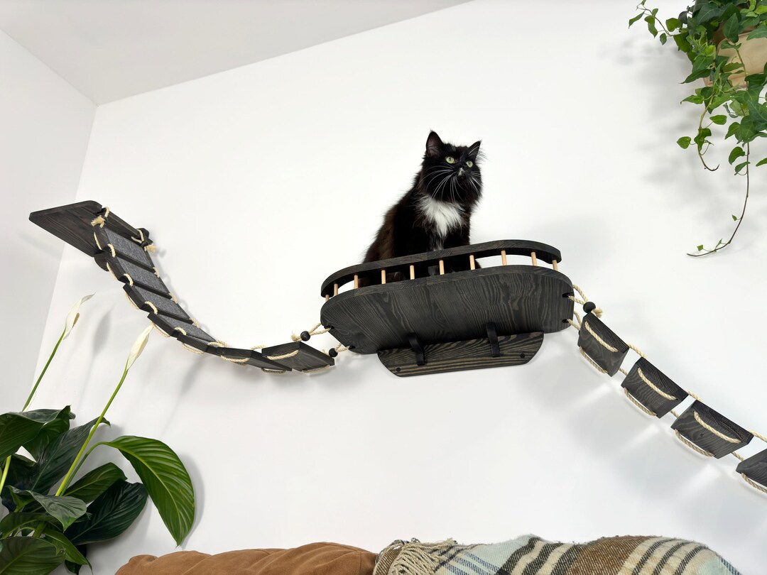 Cat Bridge, Cat Wall Ladder, Cat Wall Bed and Ladder, Cat Wall ...