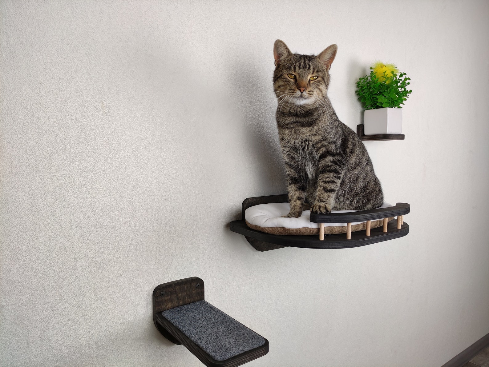 Modern Cat Furniture Cat Shelf Cat Shelves Cat Lover Gift - Etsy