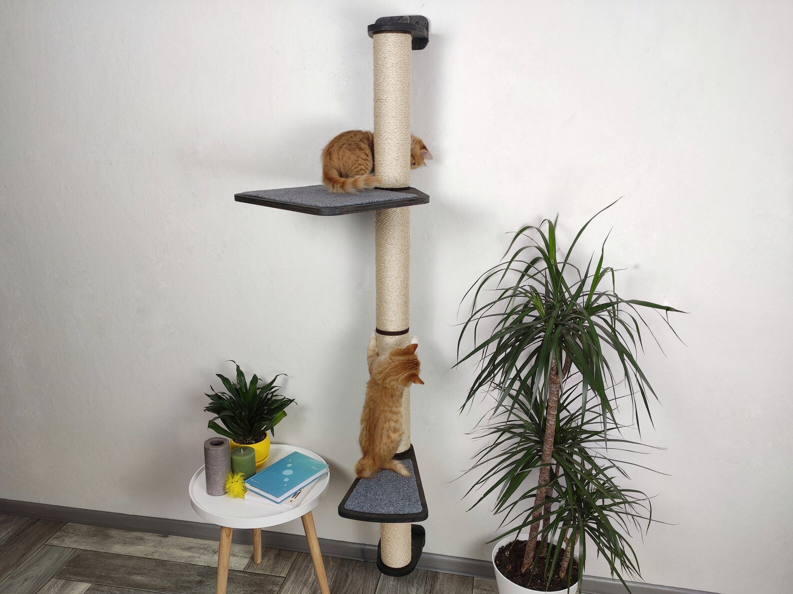 Unique Cat Trees Cat Climbing Tree Cat Tower Cat Playing - Etsy