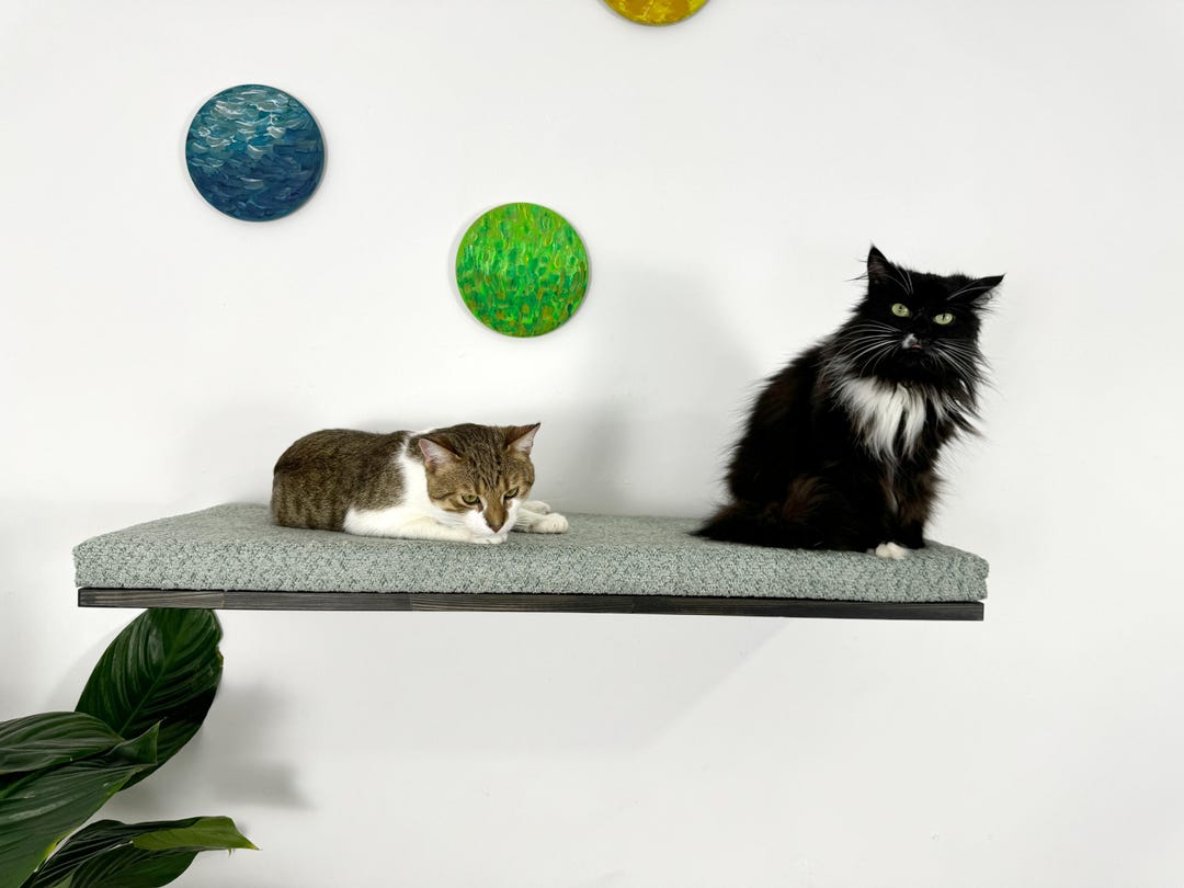 Floating Big Cat Furniture With Soft Pillows and Modern Design // Eco ...