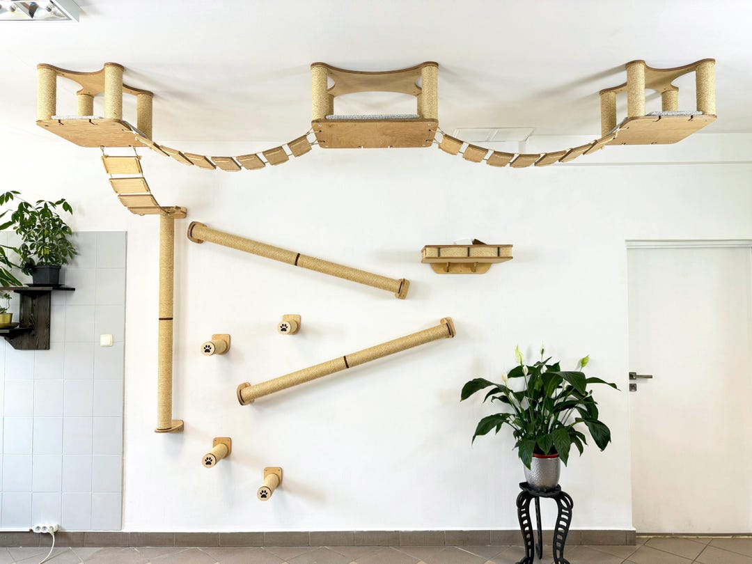 Luxury Cat Wall & Ceiling Complex | Ultimate Cat Climbing System ...