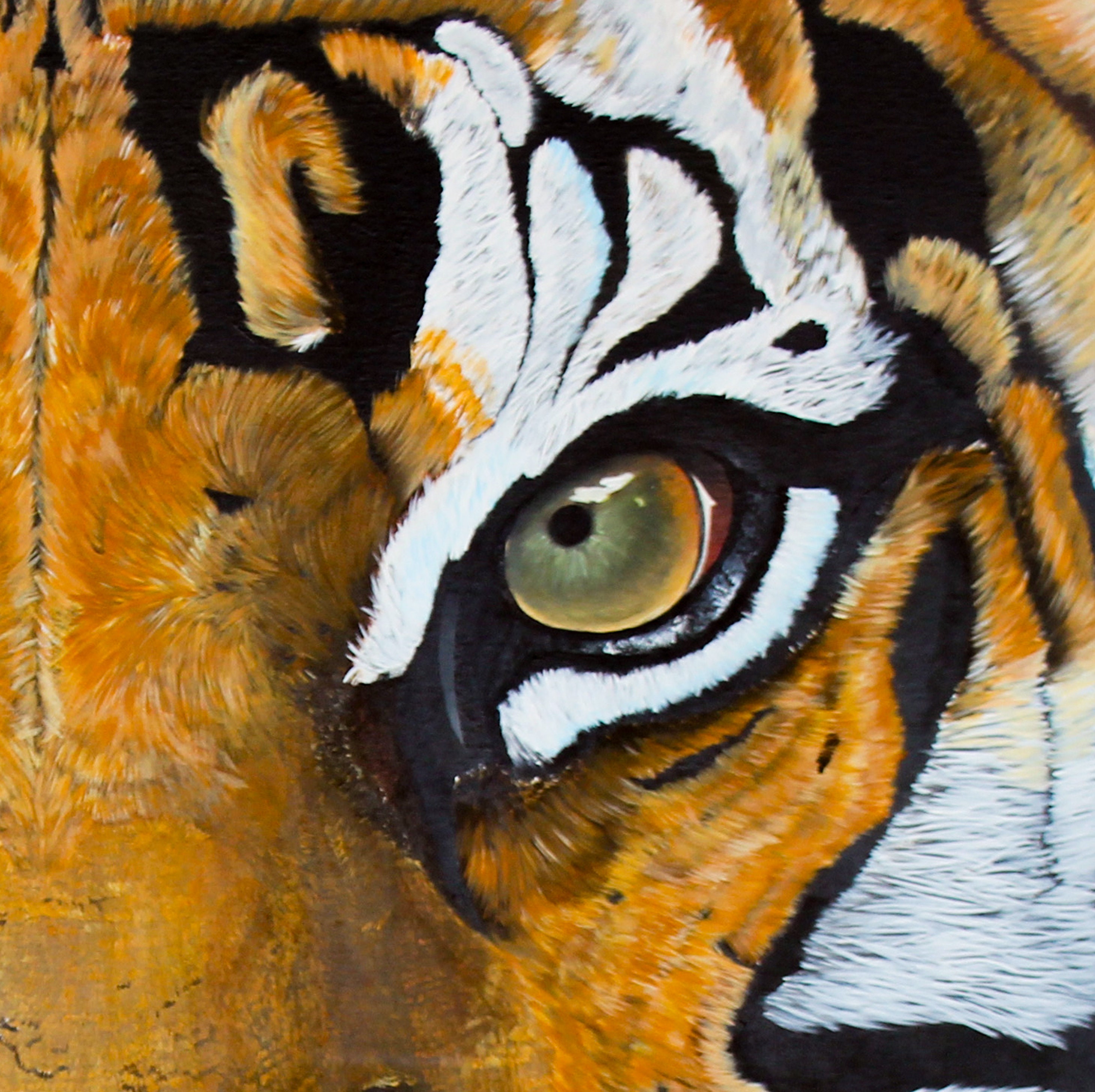 Eye of the Tiger Prints of My Tiger Painting, Tiger Painting, Wild Life ...