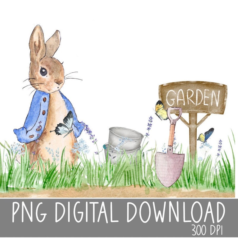 Peter Rabbit Drawing - Etsy