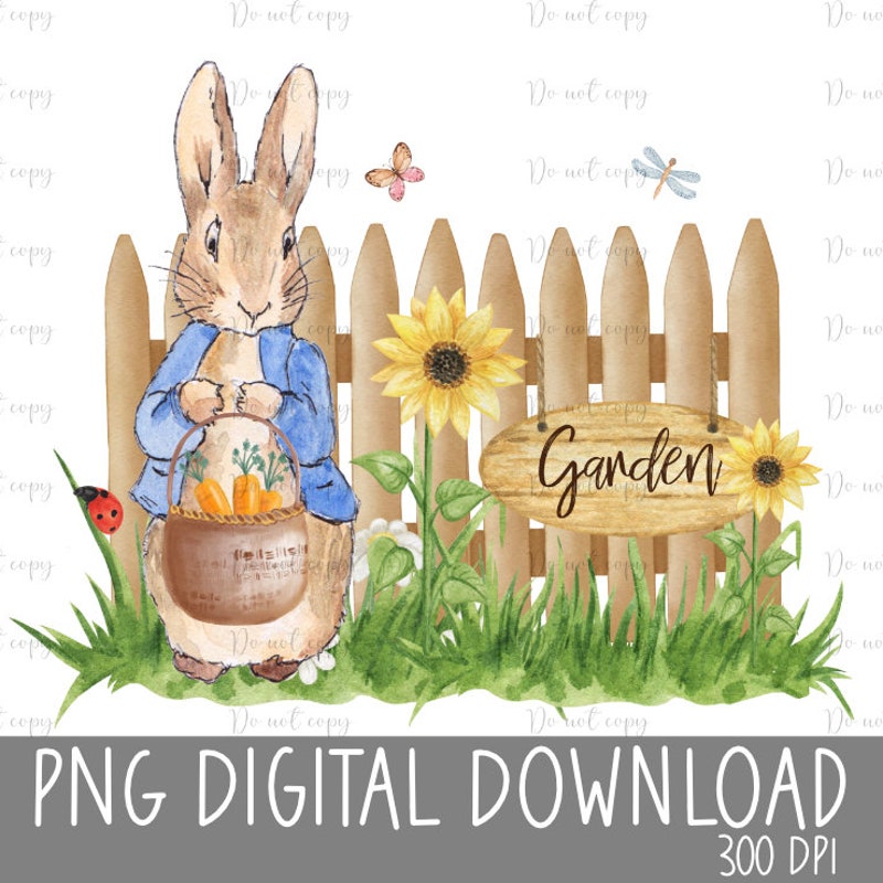 Peter Rabbit Drawing - Etsy