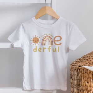 One Derful T-shirt, Birthday T-shirt, First Birthday T-shirt, One T ...