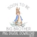 Peter Rabbit Big Brother Png, Peter Rabbit, Big Brother PNG, Heat Press ...