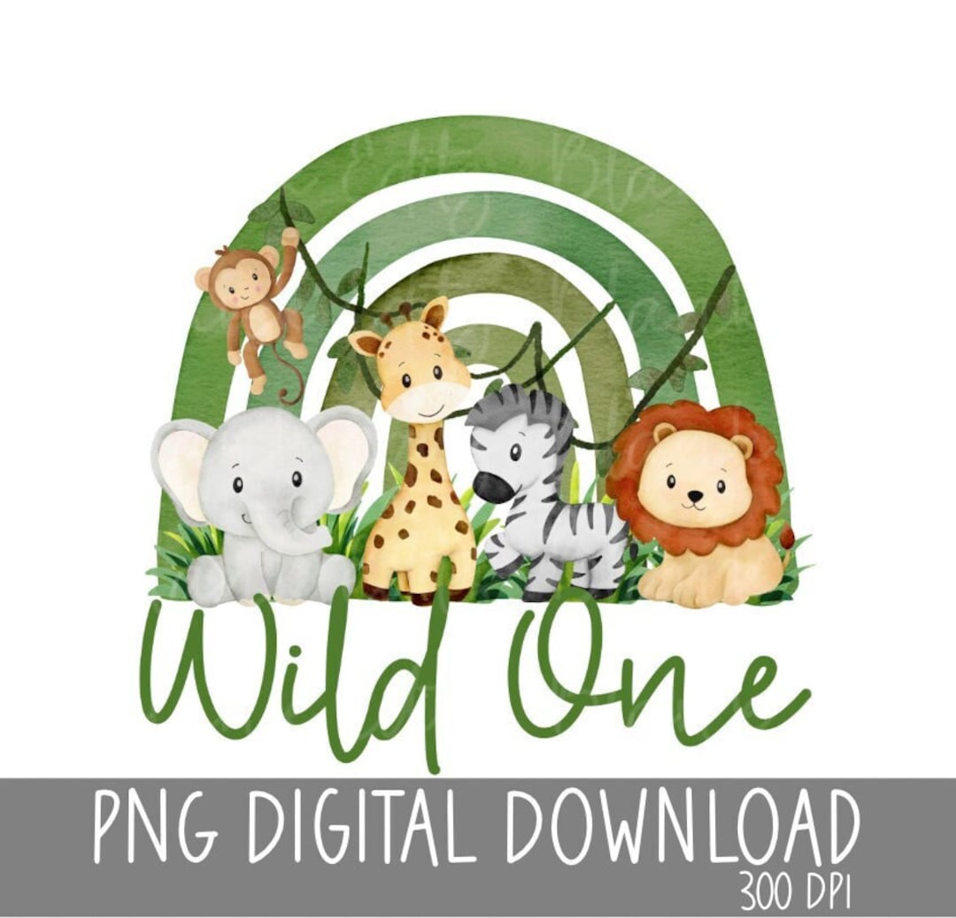 Wild One PNG, Birthday Shirt Png, T-shirt PNG File, Sublimation ...