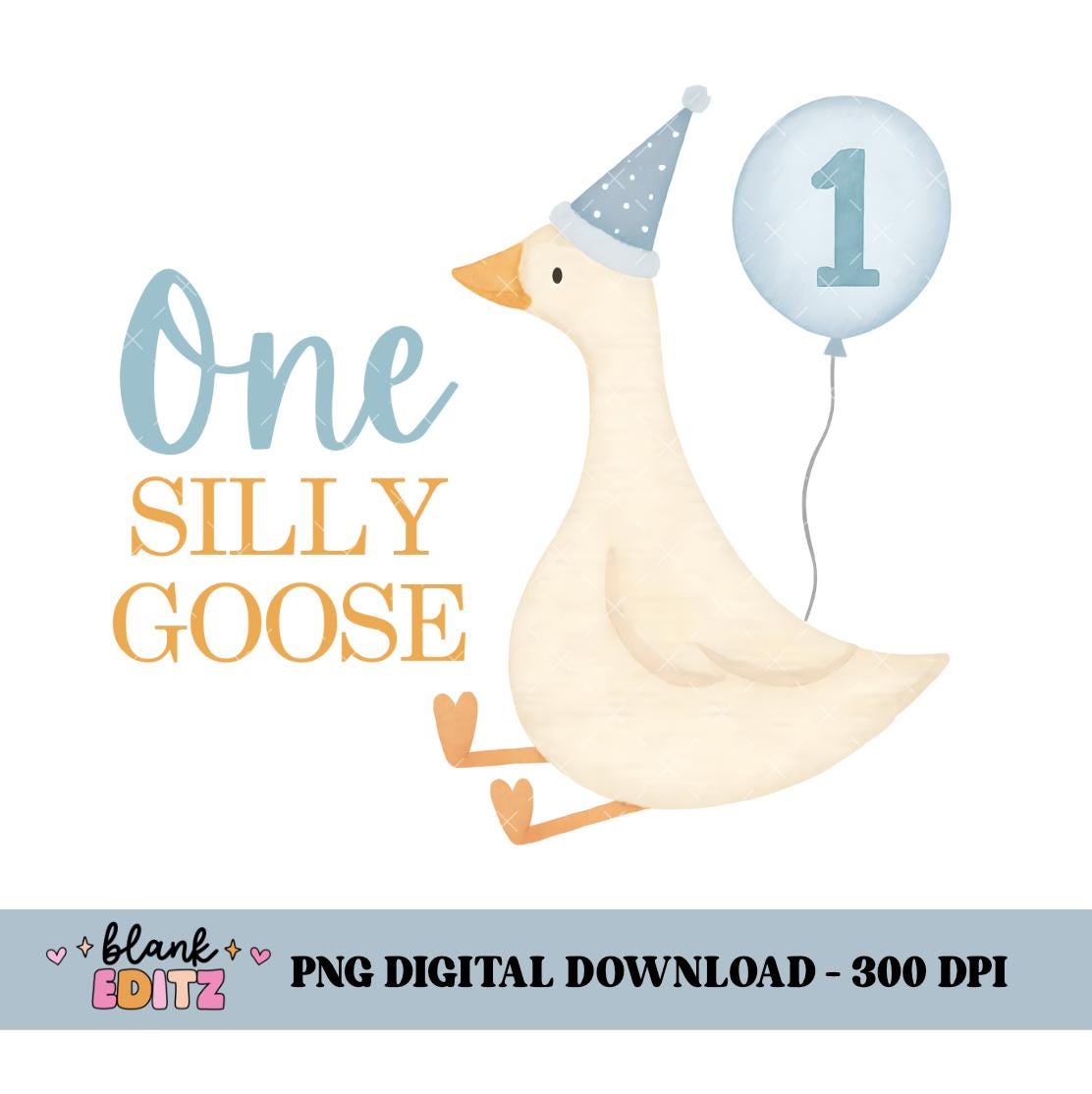 Silly Goose First Birthday PNG: Kids Clothing Design (digital Download ...