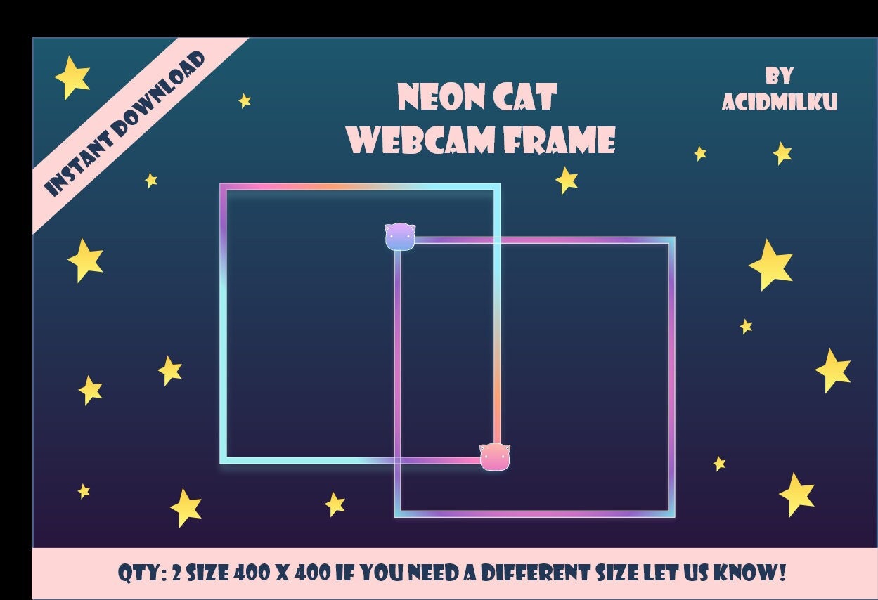 Neon Webcam Cat Frame - Etsy