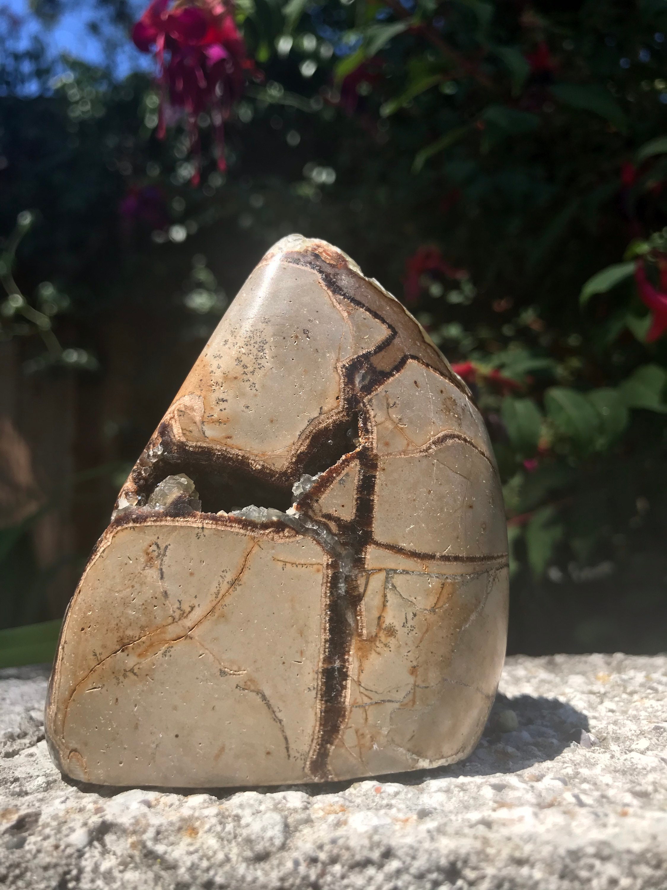 Géode septarienne avec la marque de Jupiter - Etsy France