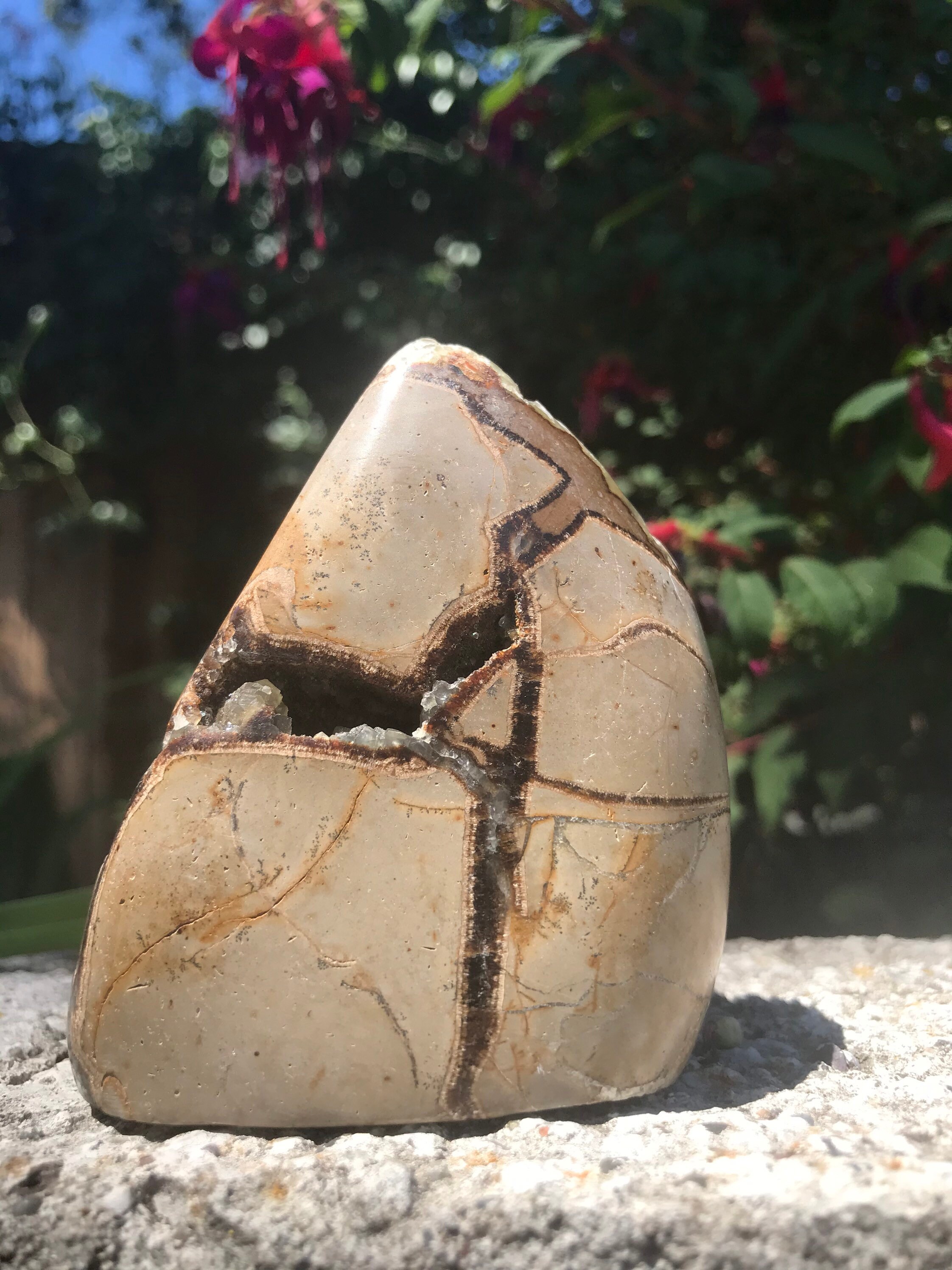 Géode septarienne avec la marque de Jupiter - Etsy France