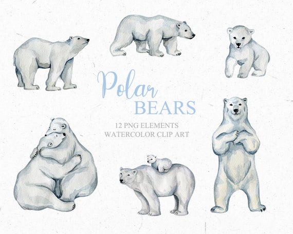 Cute Polar Bear Clipart Black And White