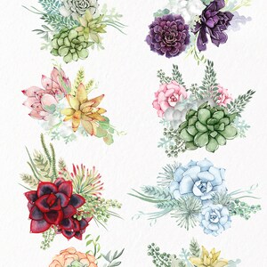 Watercolor Succulents Flower Clipart. Wedding Design Succulent Digital ...