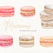 Watercolor French Macarons Clipart Pastel Sweet Dessert Macaroon ...