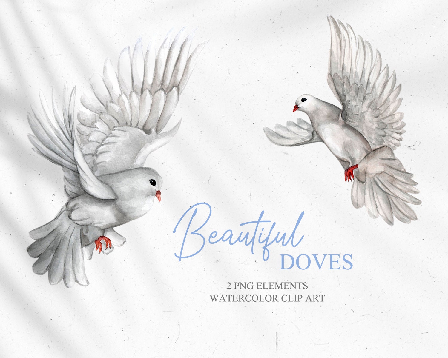 Doves Birds Clipart Flying