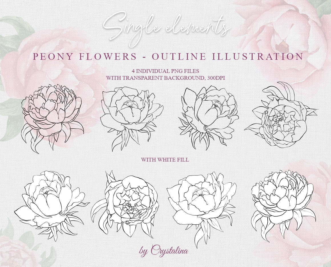 Watercolor Peony Flowers clipart. Summer floral clipart. | Etsy