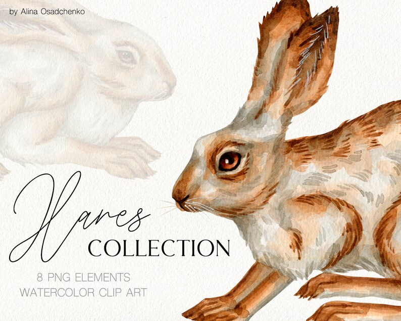 Watercolor Easter Hares Clipart. Watercolor Vintage Rabbit Clipart ...