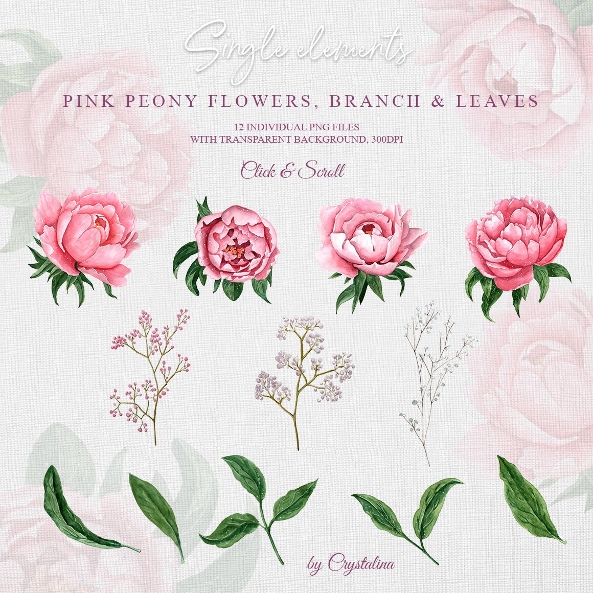 Watercolor Peony Flowers clipart. Summer floral clipart. | Etsy